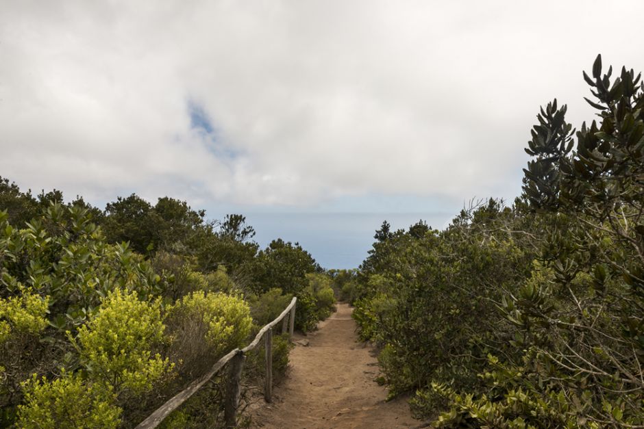 Ovalle, Informacion, clima, tarifas y reservas de Hoteles, Tour ...