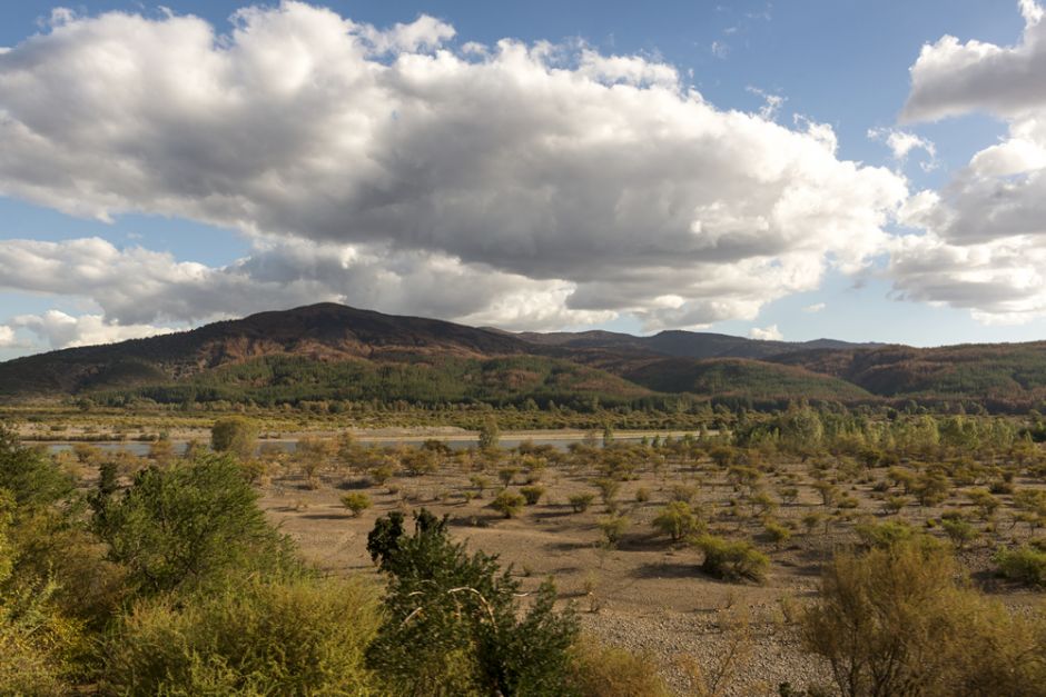 Informacion de la ciudad de Talca