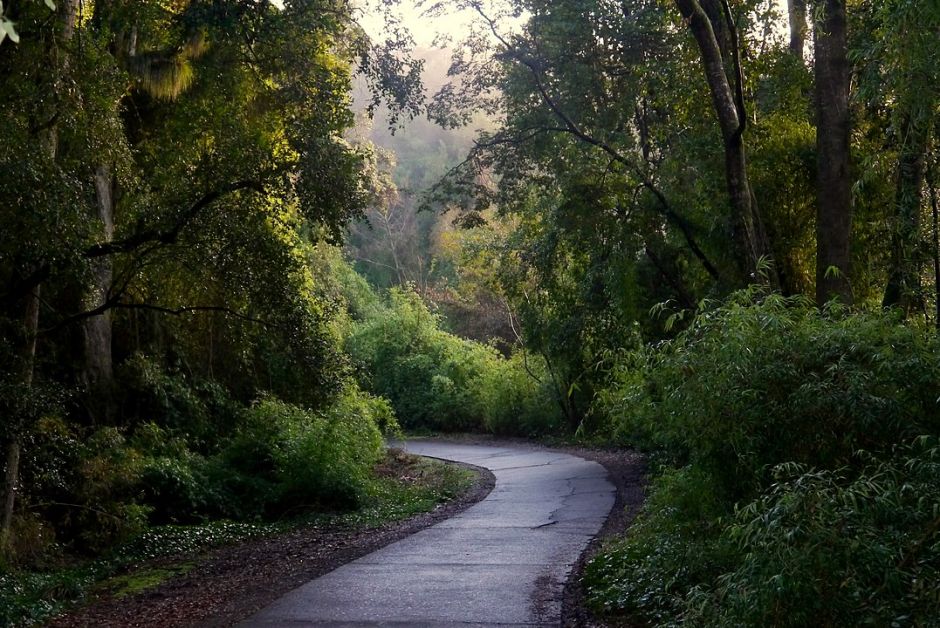 Temuco, Hotel en Temuco, Chile, Temuco Chile, Tour en Temuco, Todo ...
