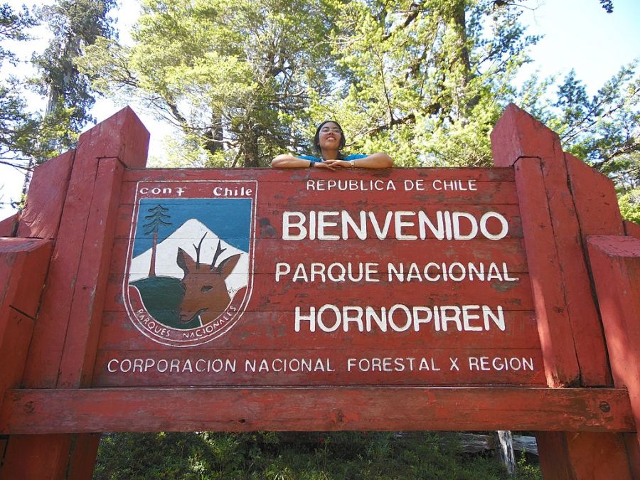 Parque Nacional Hornopiren. Hornopirén - CHILE