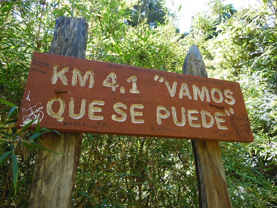 Parque Nacional Hornopiren, Guía de Parques Nacionales en CHILE