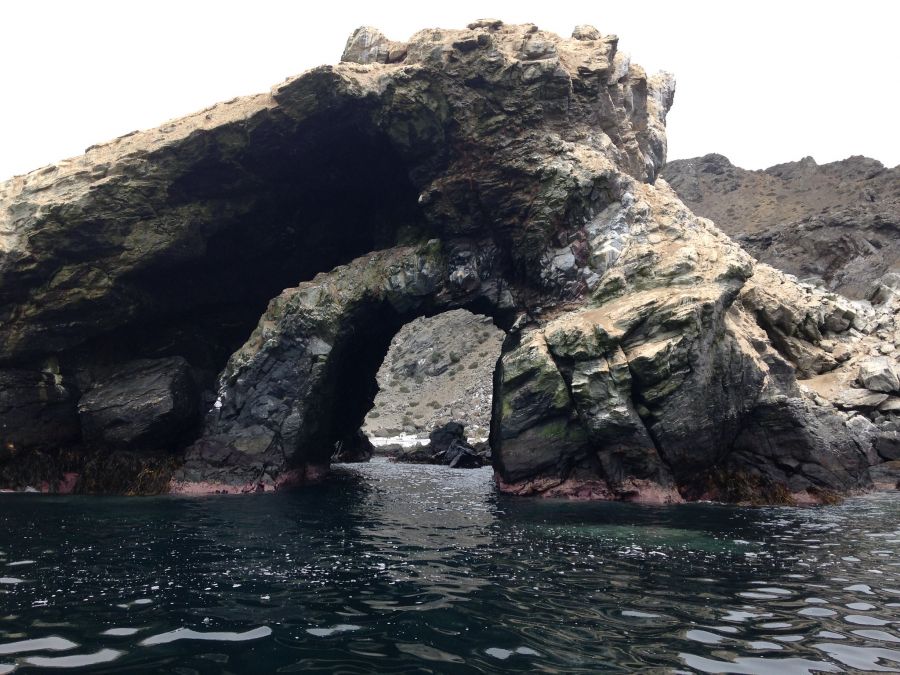 Isla Choros . Punta de Choros - CHILE