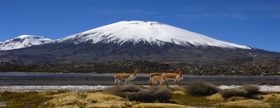 Volcan Parinacota. Arica - CHILE