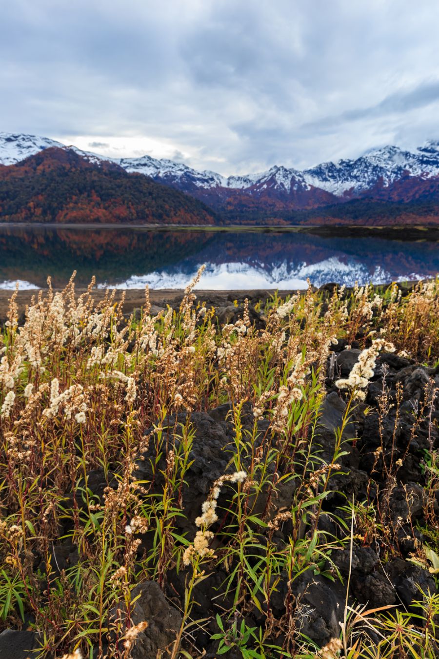 Parque Nacional Conguillío, Guía de Parques Nacionales en CHILE