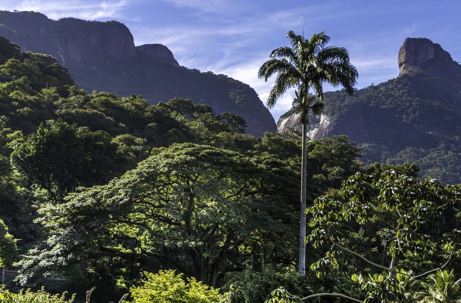 Parque Nacional y Floresta da Tijuca, Rio de Janeiro - Brasil, Guía de ...